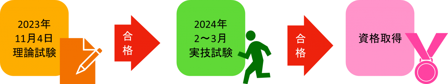 アスレティックトレーナー（JSPO-AT）の資格試験の変更点と必要なスキル・知識について - 大阪ハイテクノロジー専門学校